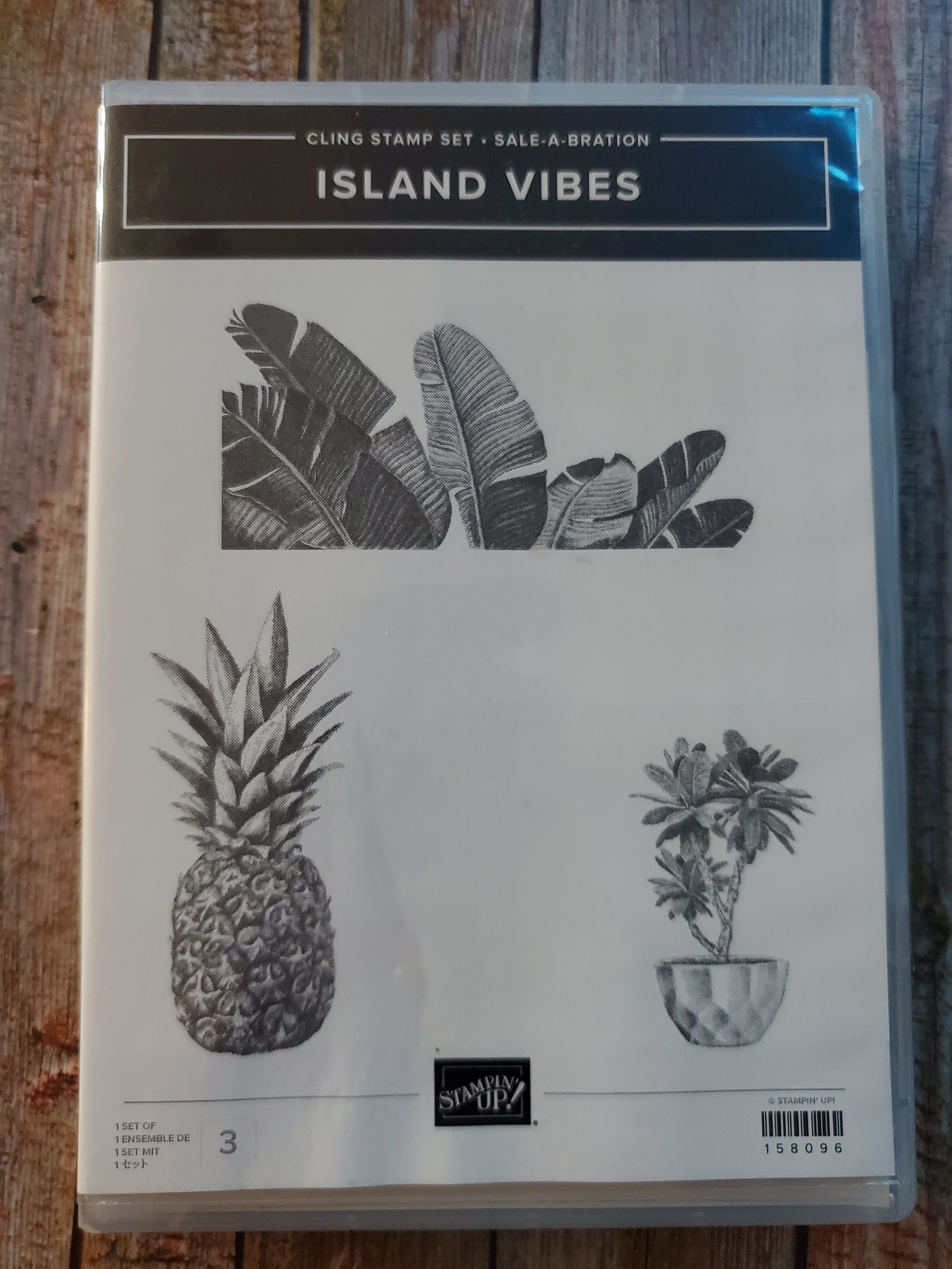 Stampin' UP! "Island Vibes" Stamp Set – StampinCandy.com
