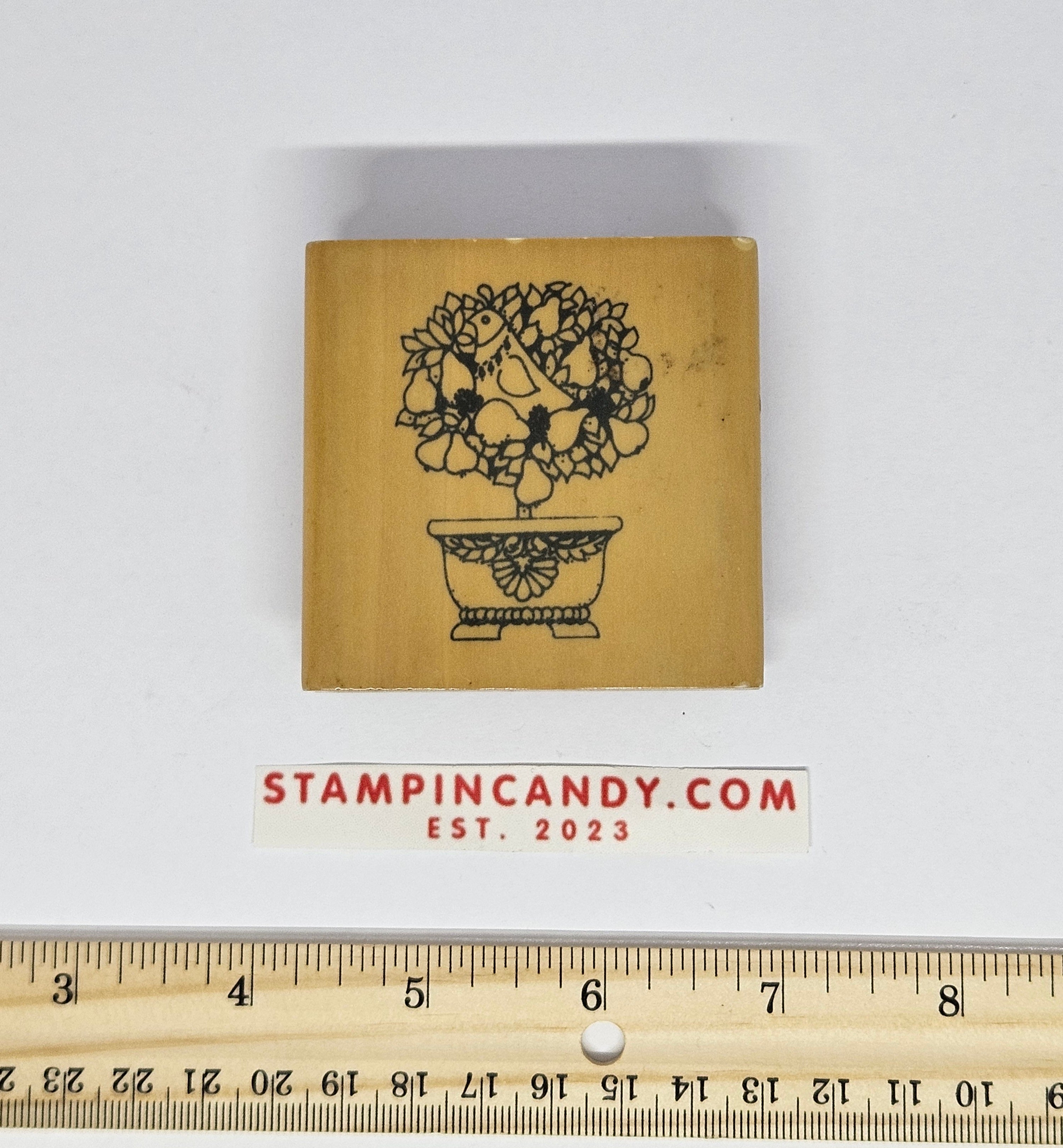 Anita's - Partridge in a Pear Tree Stamp – StampinCandy.com