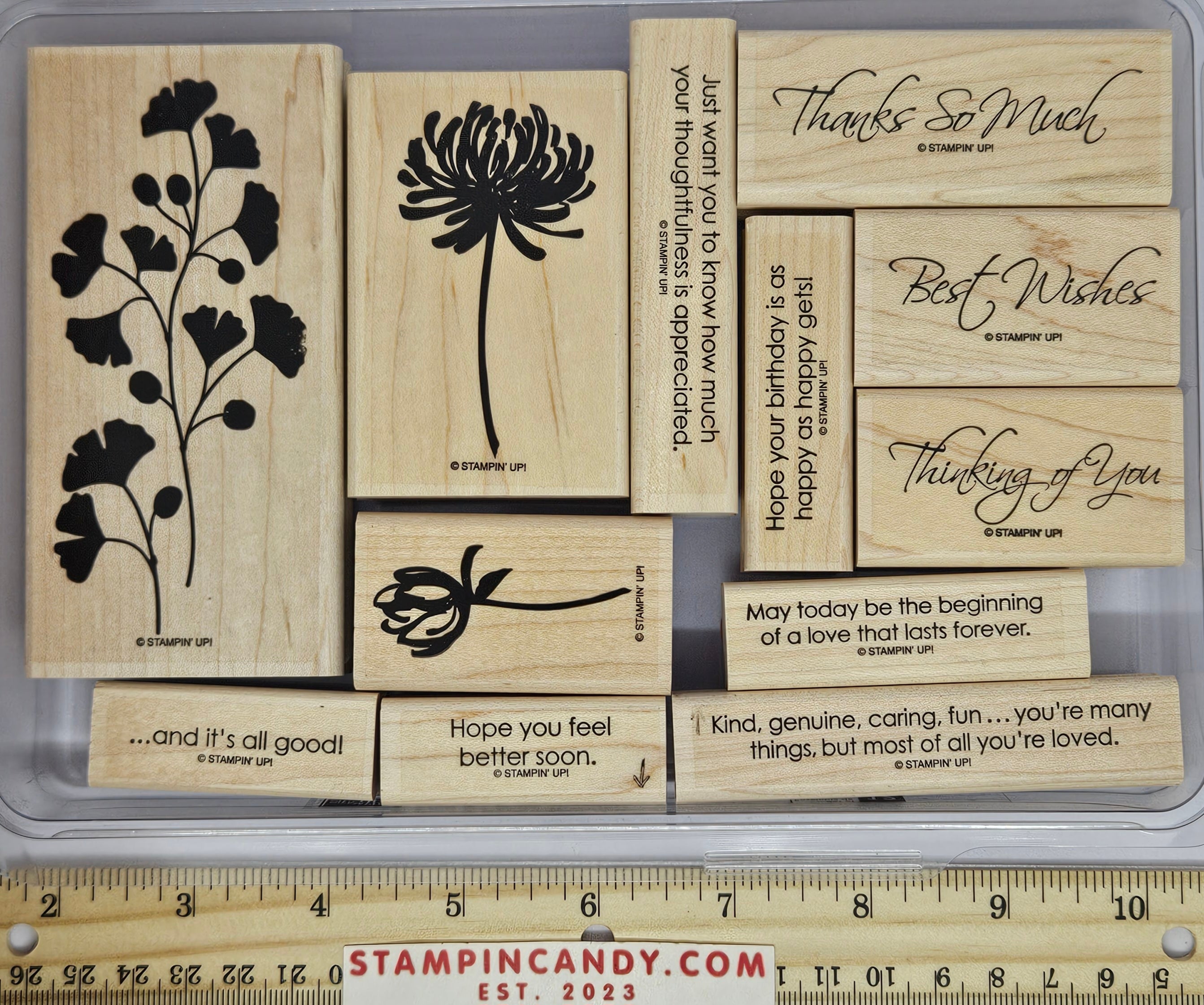 Stampin Up - Kind & Caring Thoughts Stamp Set – StampinCandy.com