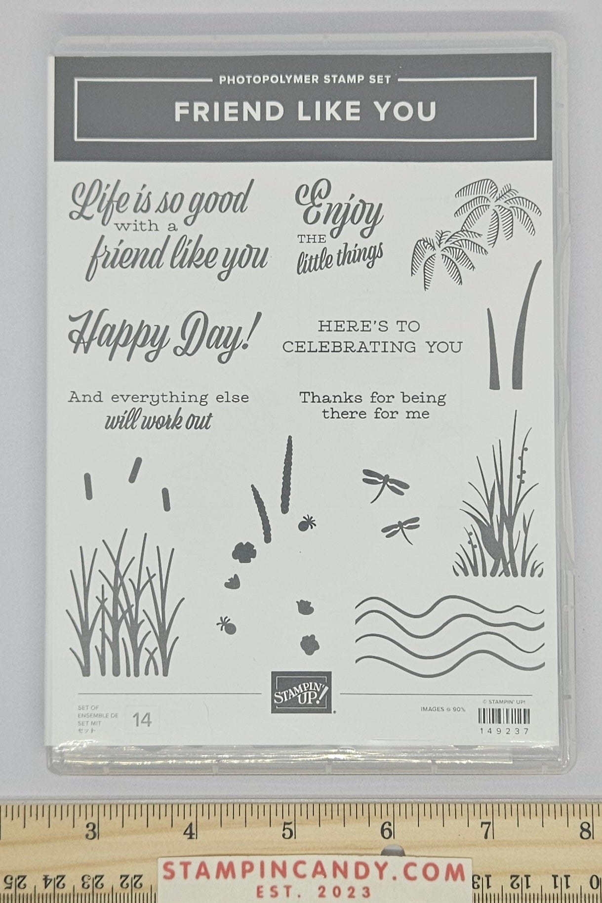 Stampin Up - Friend Like You – StampinCandy.com